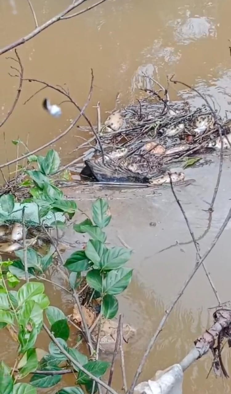 Dugaan Pencemaran Sungai di Redang Seko Tak Kunjung Ditindak. Wiston ...