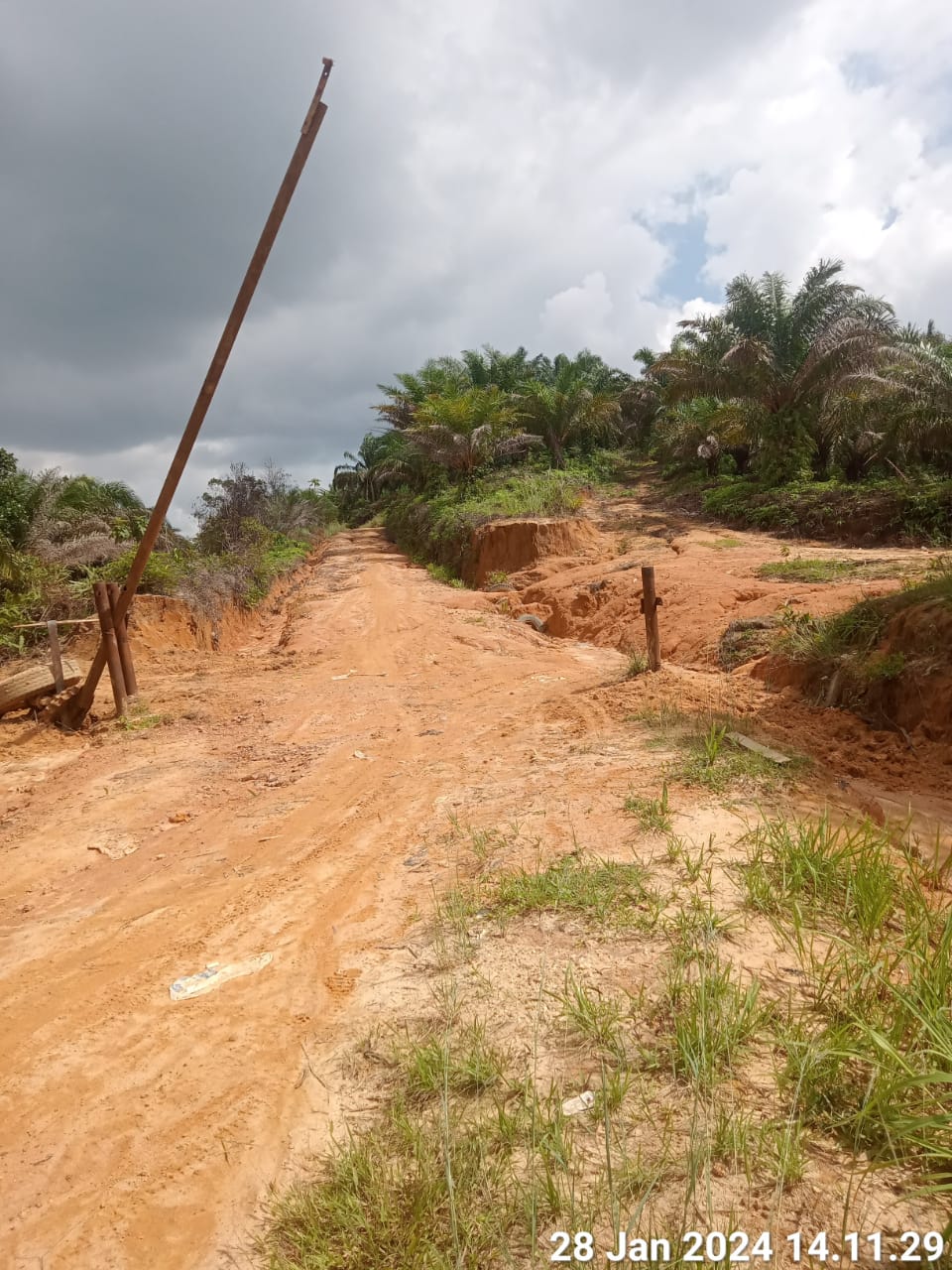 PT Runggu Bantah Jual Kebun di Inhu, Pakpahan: Masyarakat Ketipu Lapor ...