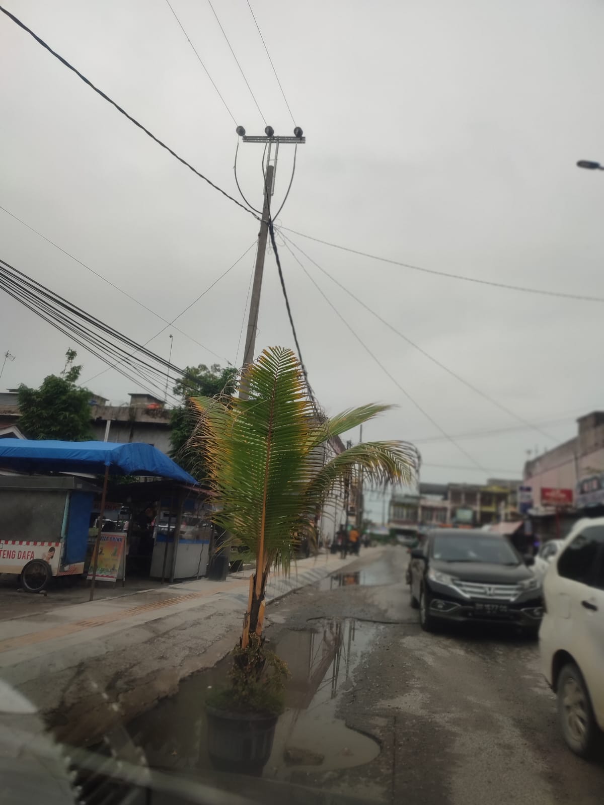 Ada Lobang Menganga, Warga Tanam Kelapa di Tengah Jalan Akasia ...