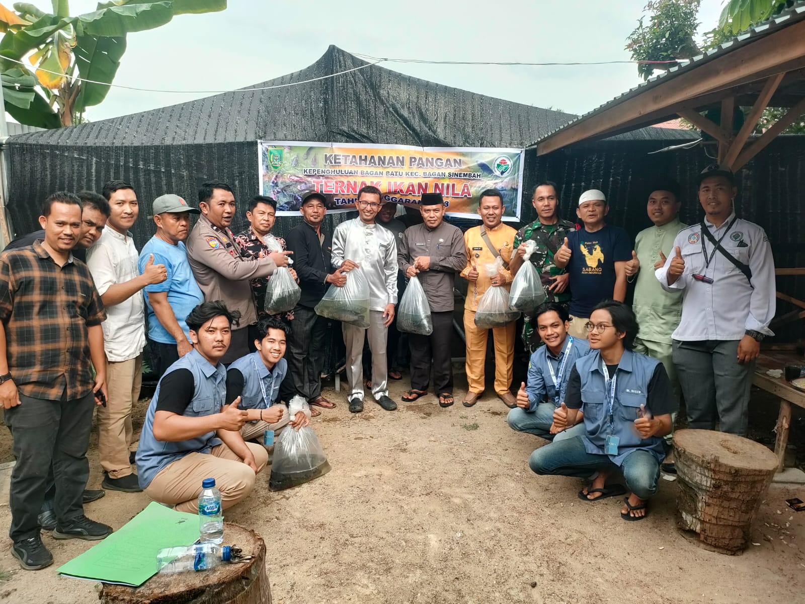 Desa Bagan Batu Panen Perdana Ikan Nila Program Ketapang - Pekanbaru Pos