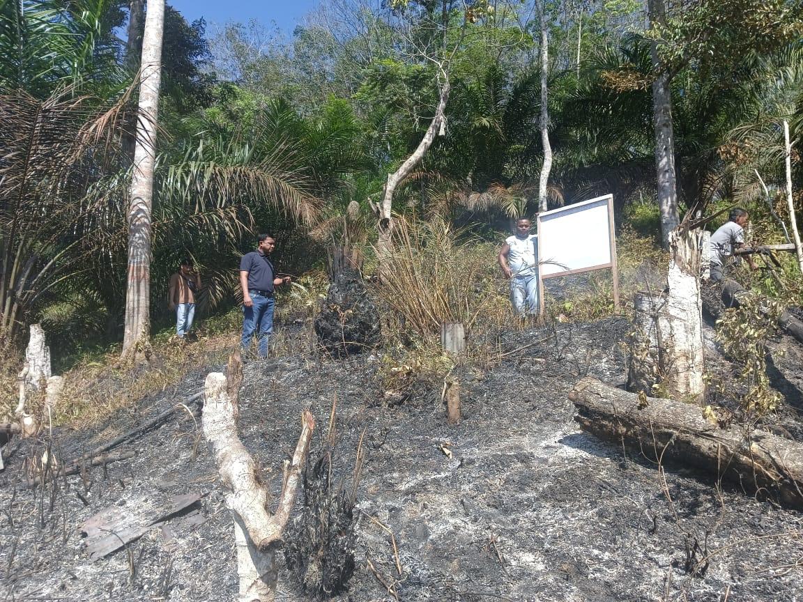 Polisi Tangkap Tiga Pelaku Pembakaran Lahan di Kawasan Hutan Lindung Bukit Betabuh - Pekanbaru Pos