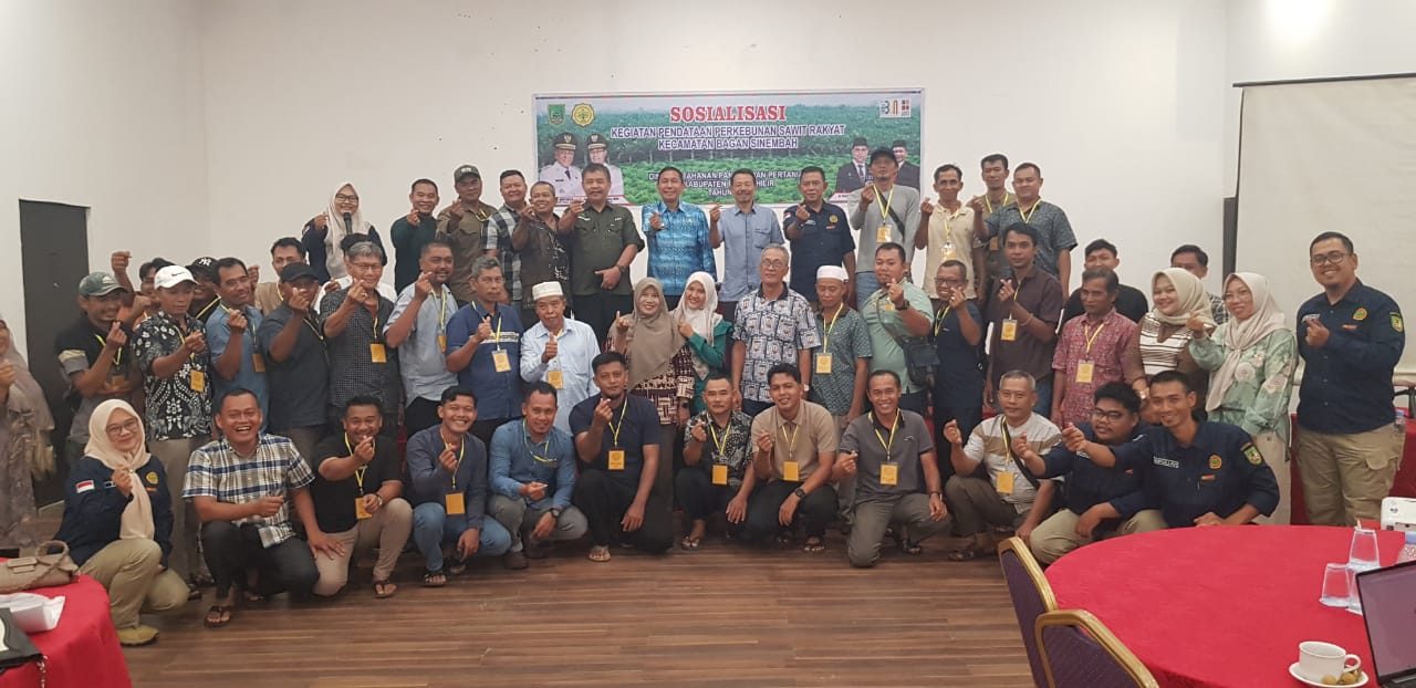 DKPP Rohil Gelar Sosialisasi Pendataan Perkebunan Sawit Rakyat ...